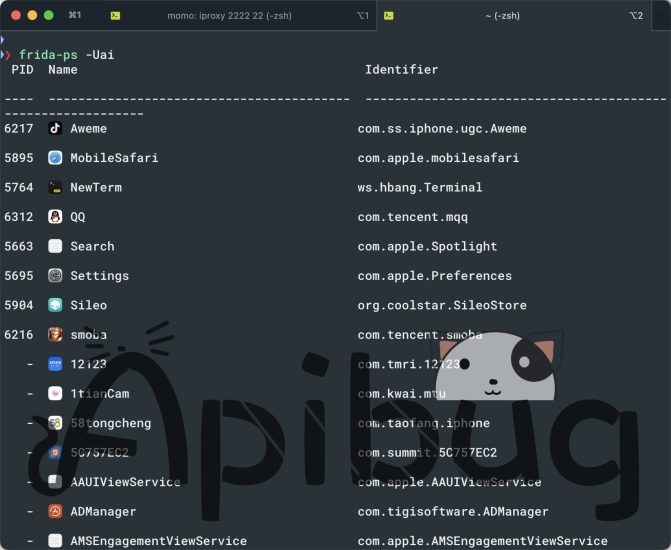Apibug - IOS源码教程分享